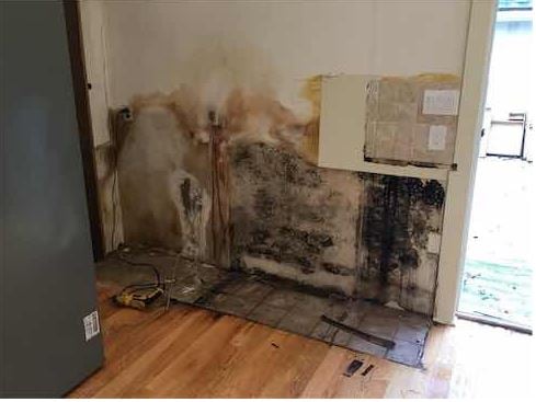 Water damage from a leaking refrigerator? Find out why.